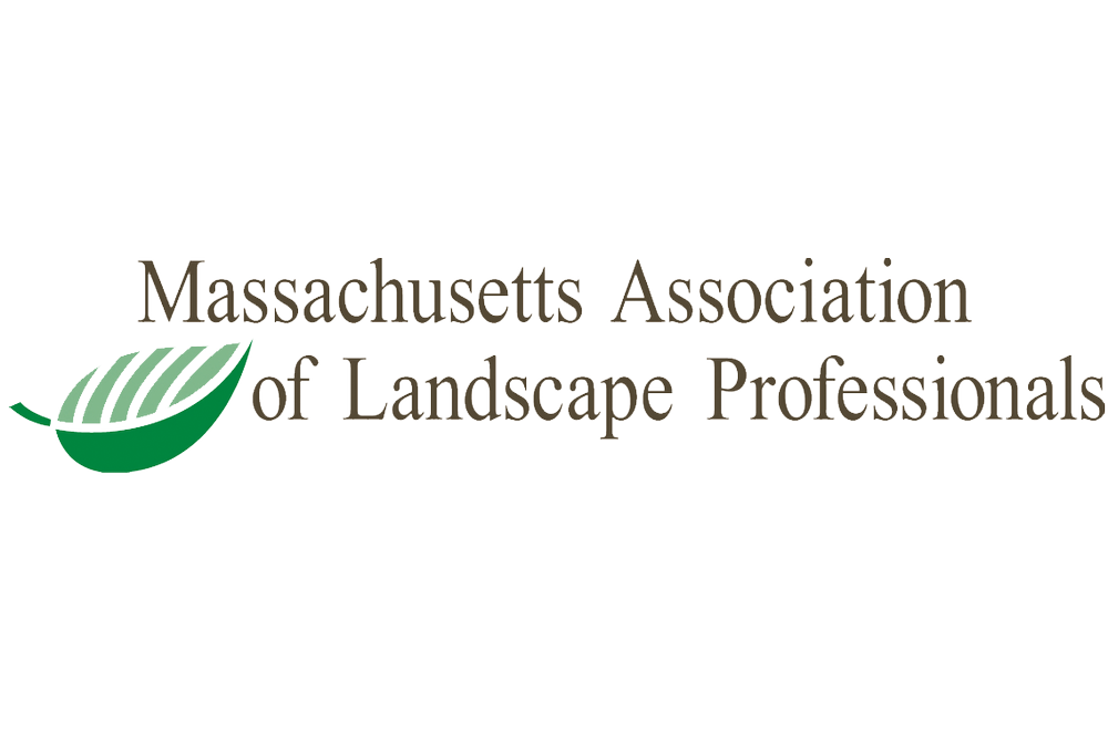 discover-xquisite-landscaping-s-story-xquisite-landscaping