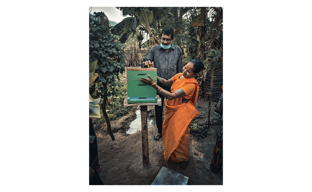 Bindi International — pages