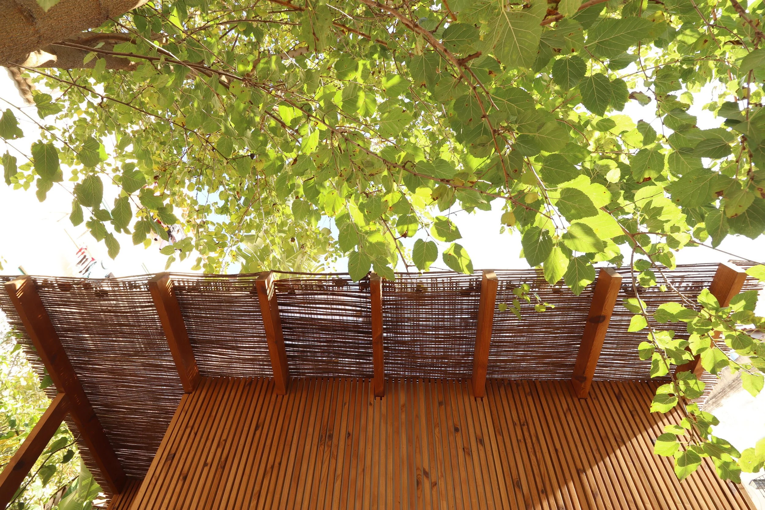 Estrela Garden Studio — Madeiguincho_Atelier Madeira
