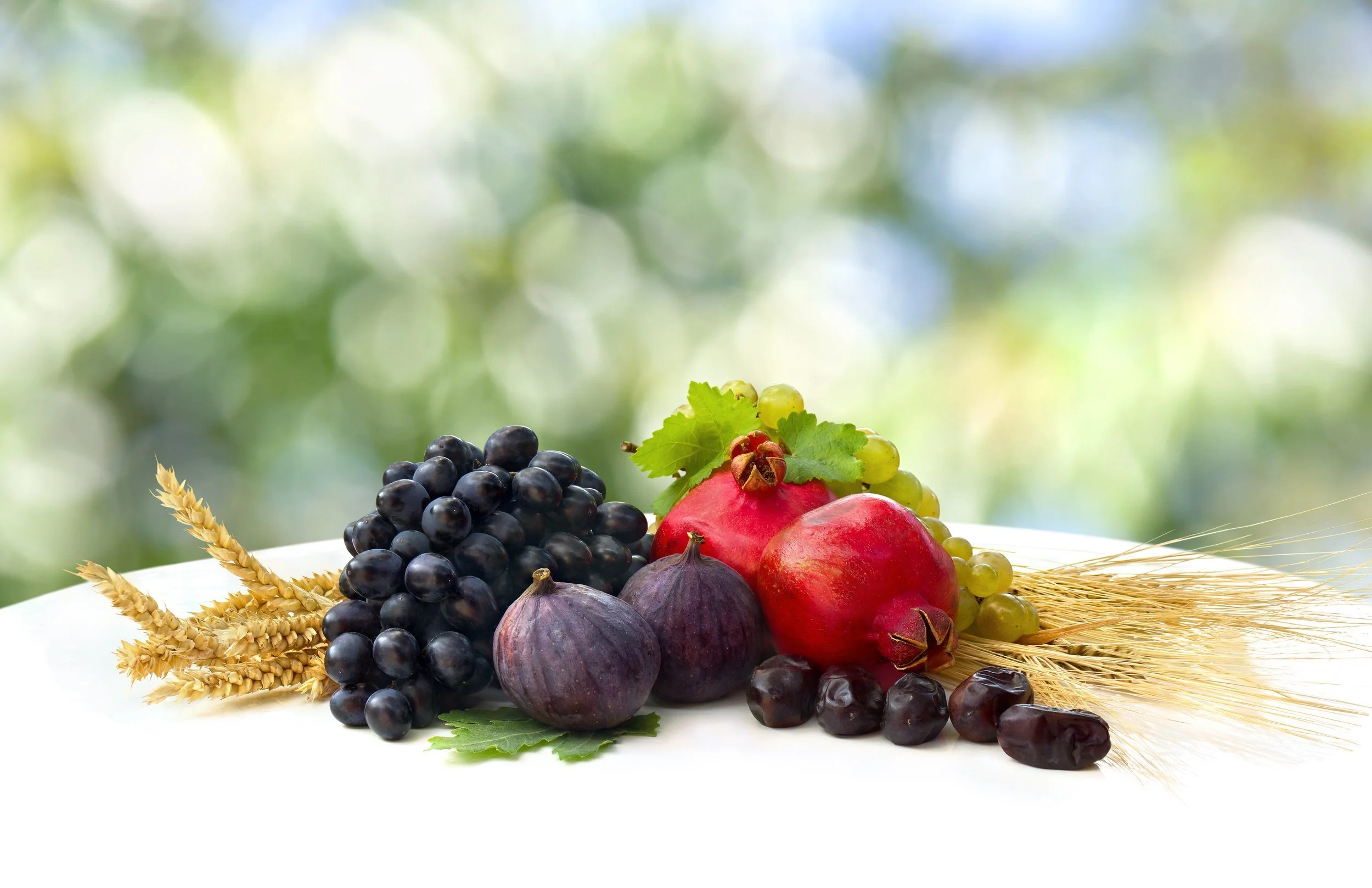 Celebrating Freedom's Fruit — Life in Messiah