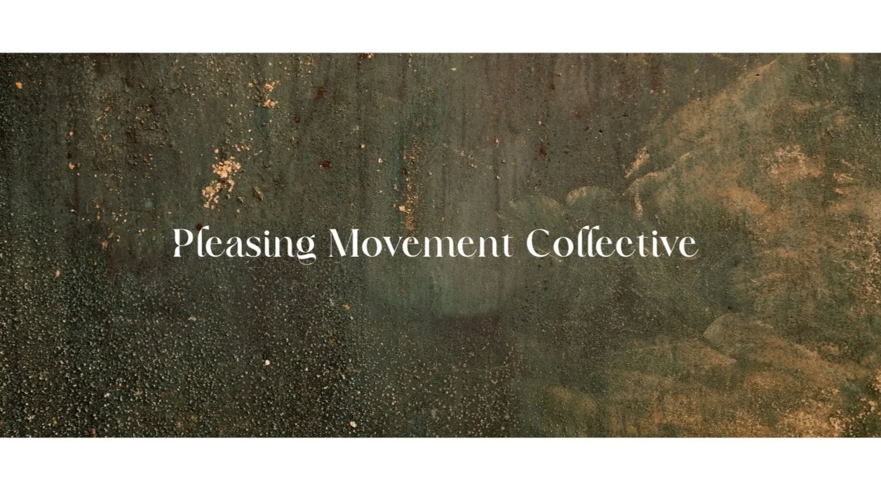 Blog 3 — Pleasing Movement Collective