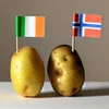 Norwegian & Irish Potato Delights: A Hands-On Cooking Experience - Sold ...