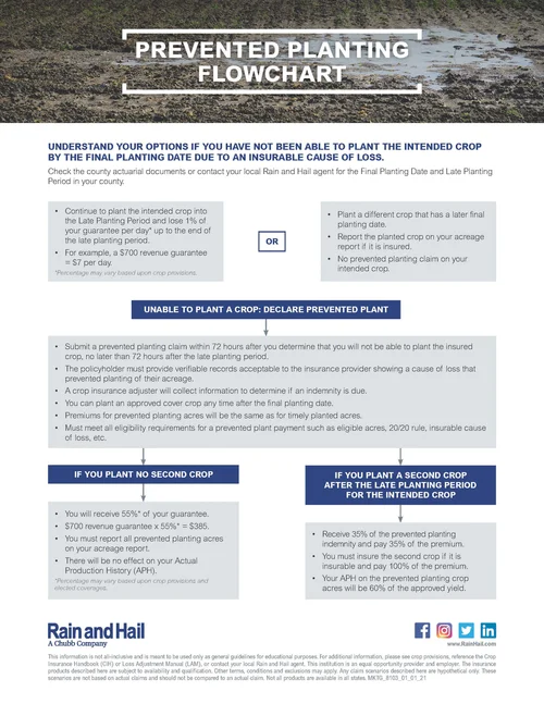 Resources — CIP Agency