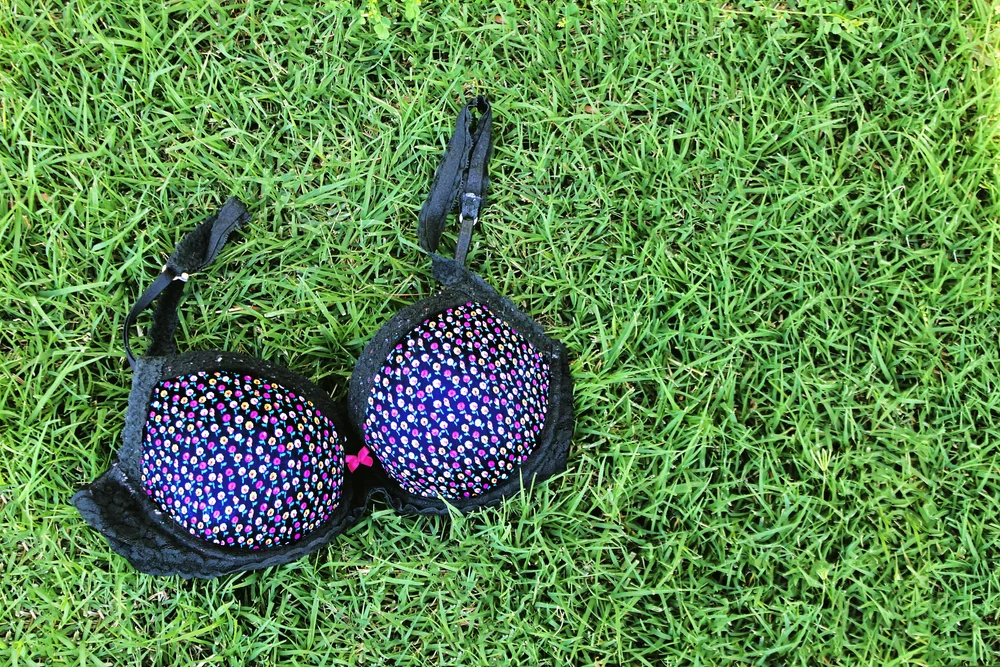 Recycling Form — The Bra Recyclers