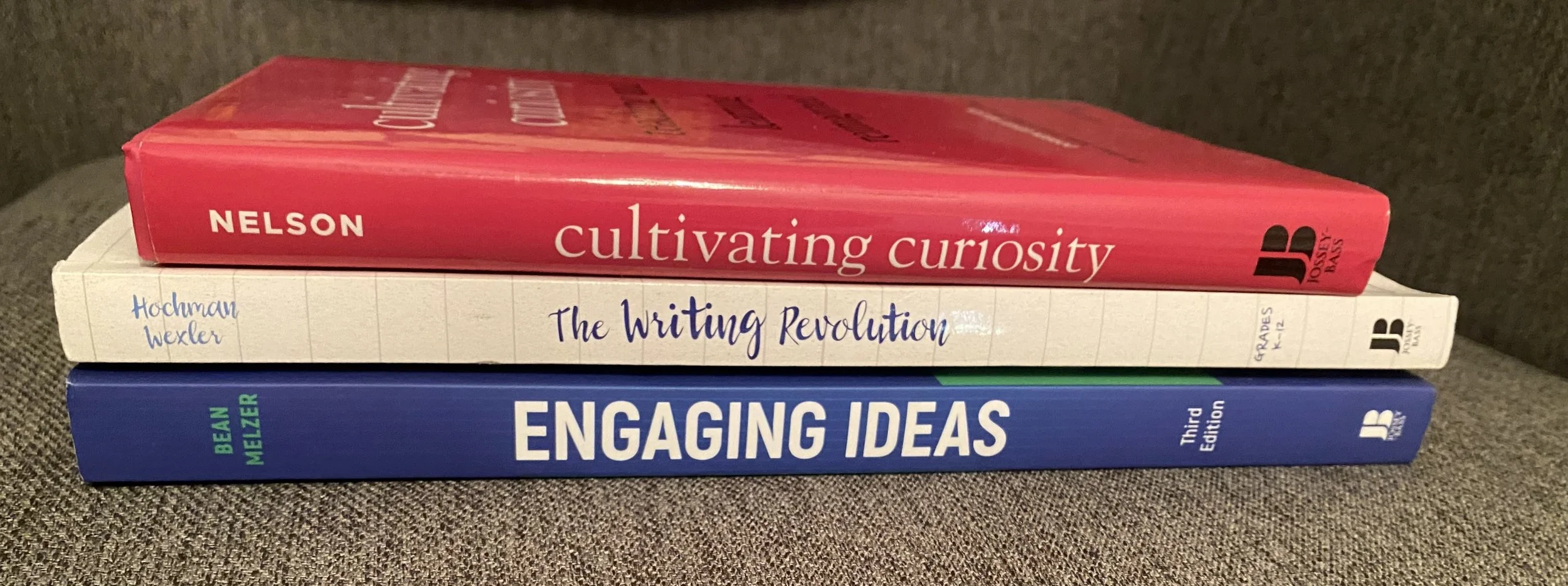 May Book Stack: Writing and Critical Thinking — Susan Tenon