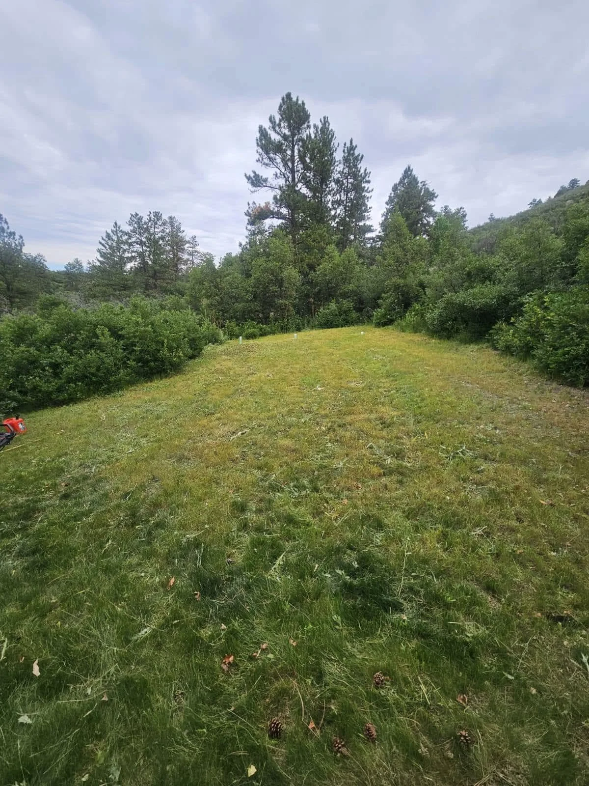 Landscape Maintenance — Blue Collar Service Pros