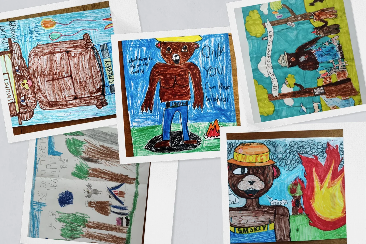 Blog 3 — Temple Terrace Garden Club