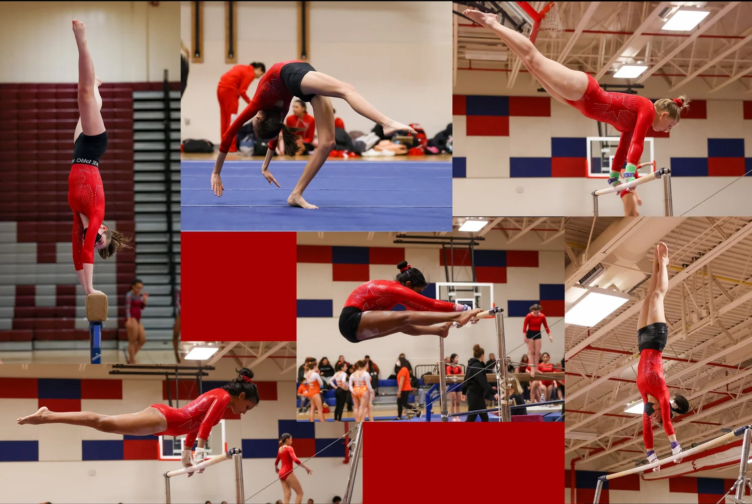 Gymnastics — TJHSST Athletic Booster Club