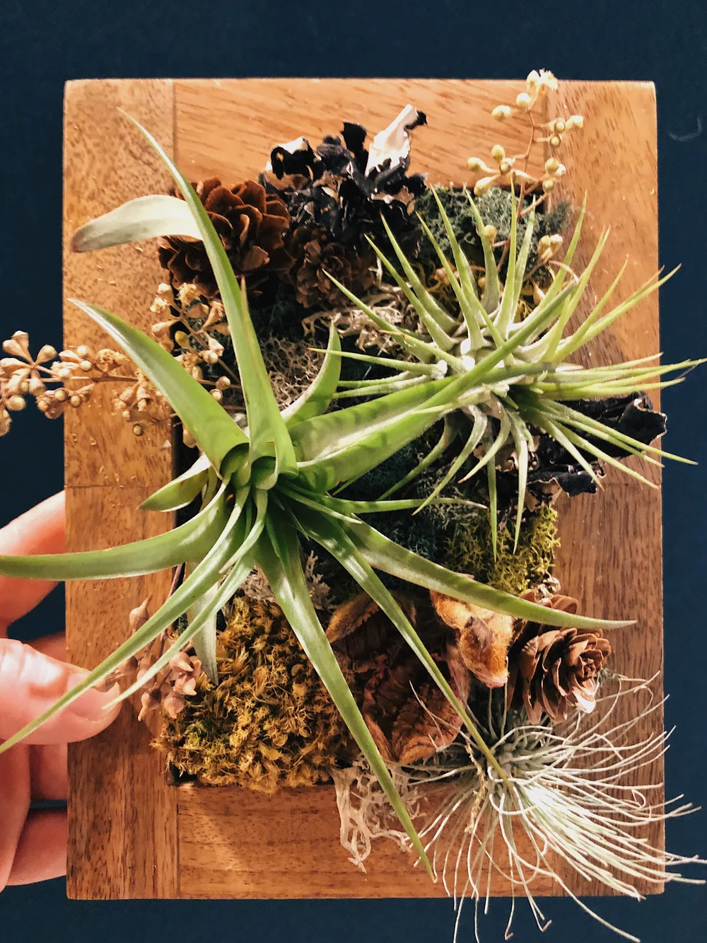 Corporate plant and flower workshops — Leelee's Garden