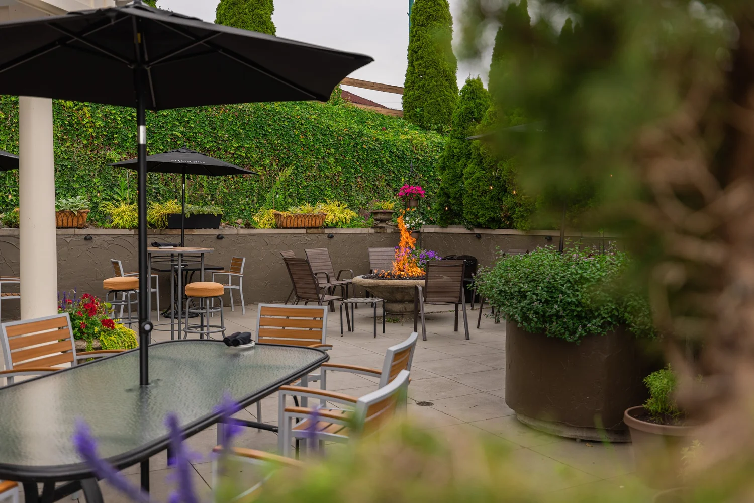 Reservations at Delmonico’s Steakhouse — Delmonico's Steakhouse