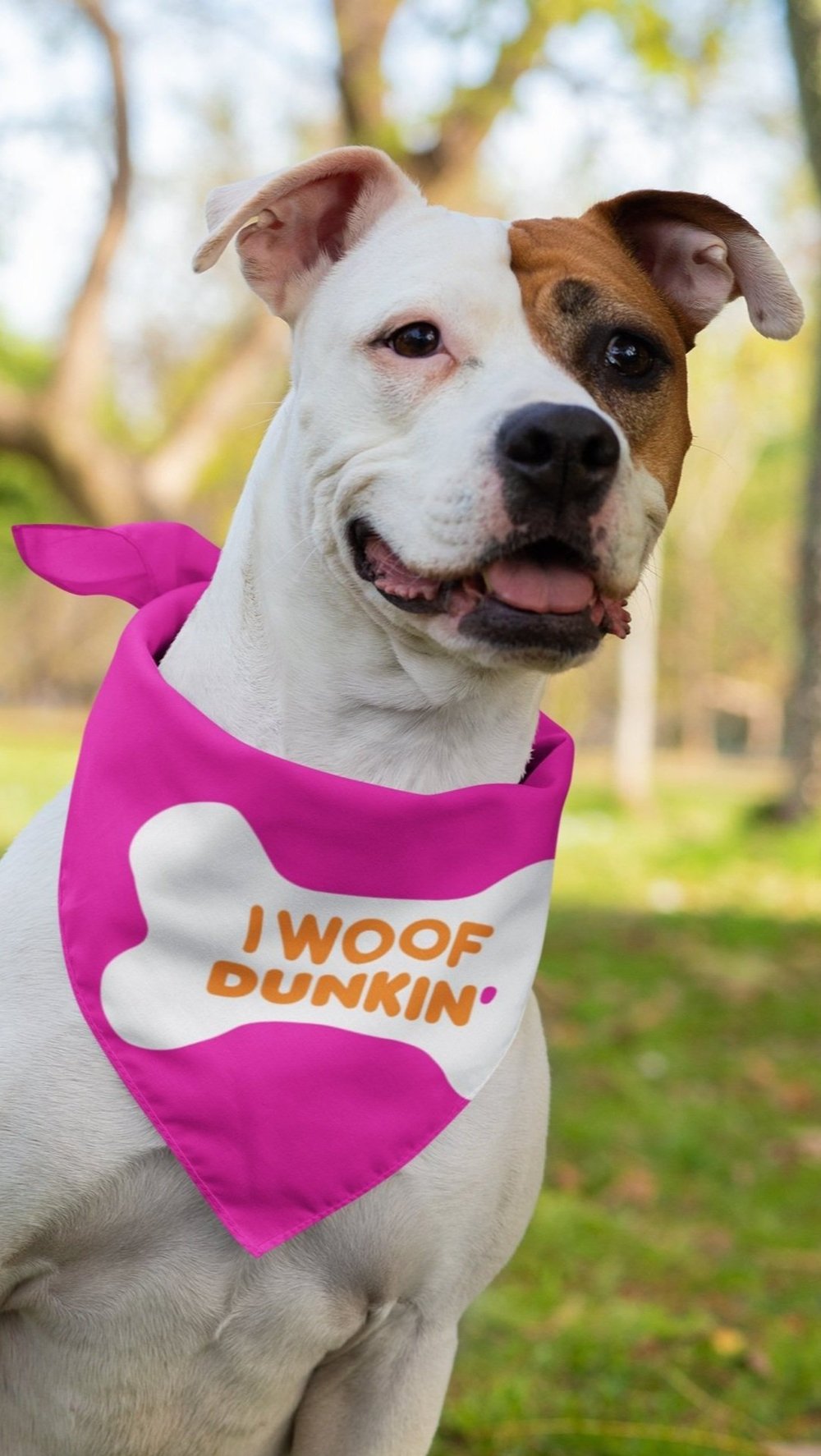 Dunkin' Dogs — Sara Turner