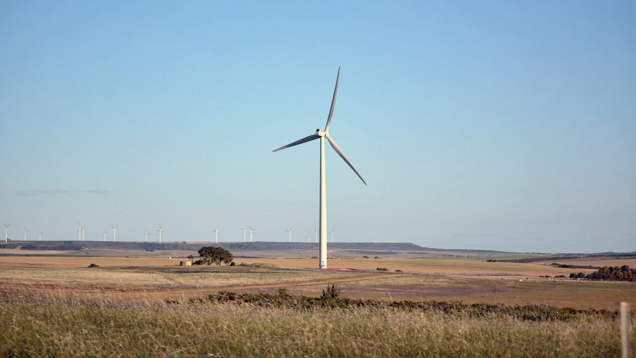 Projects — New Energy Development