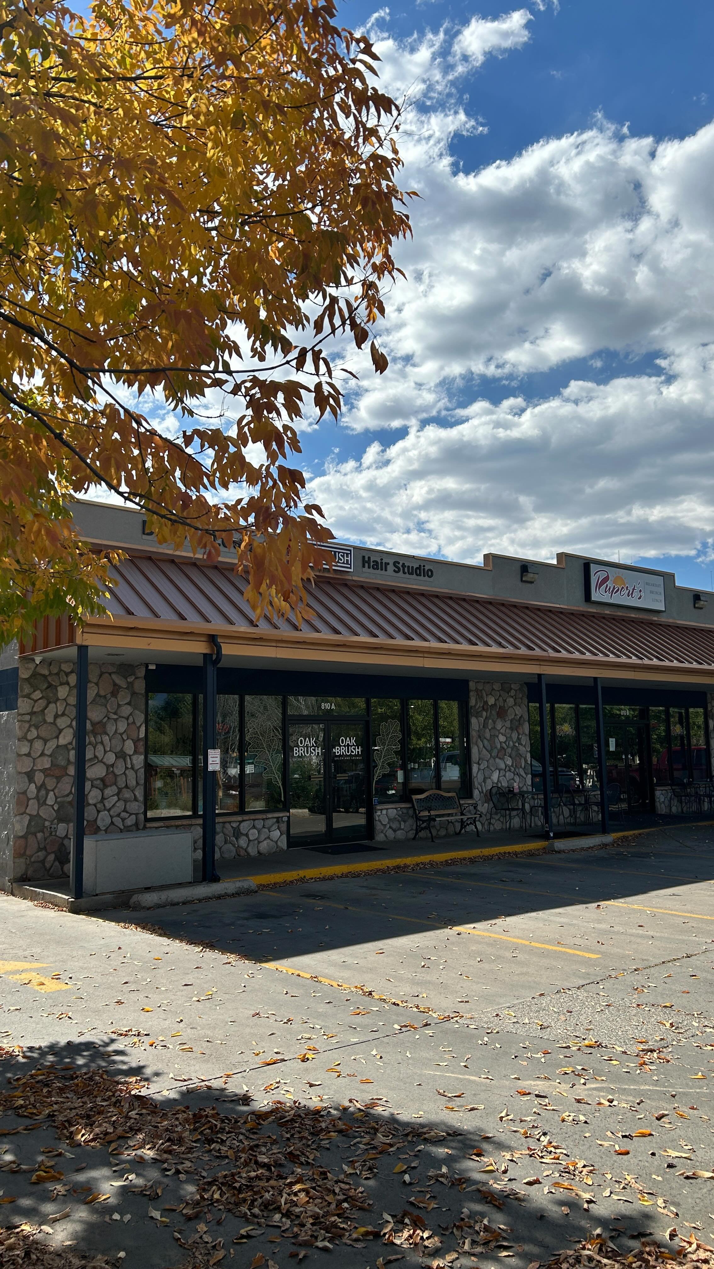 OAK BRUSH - Durango Hair Salon