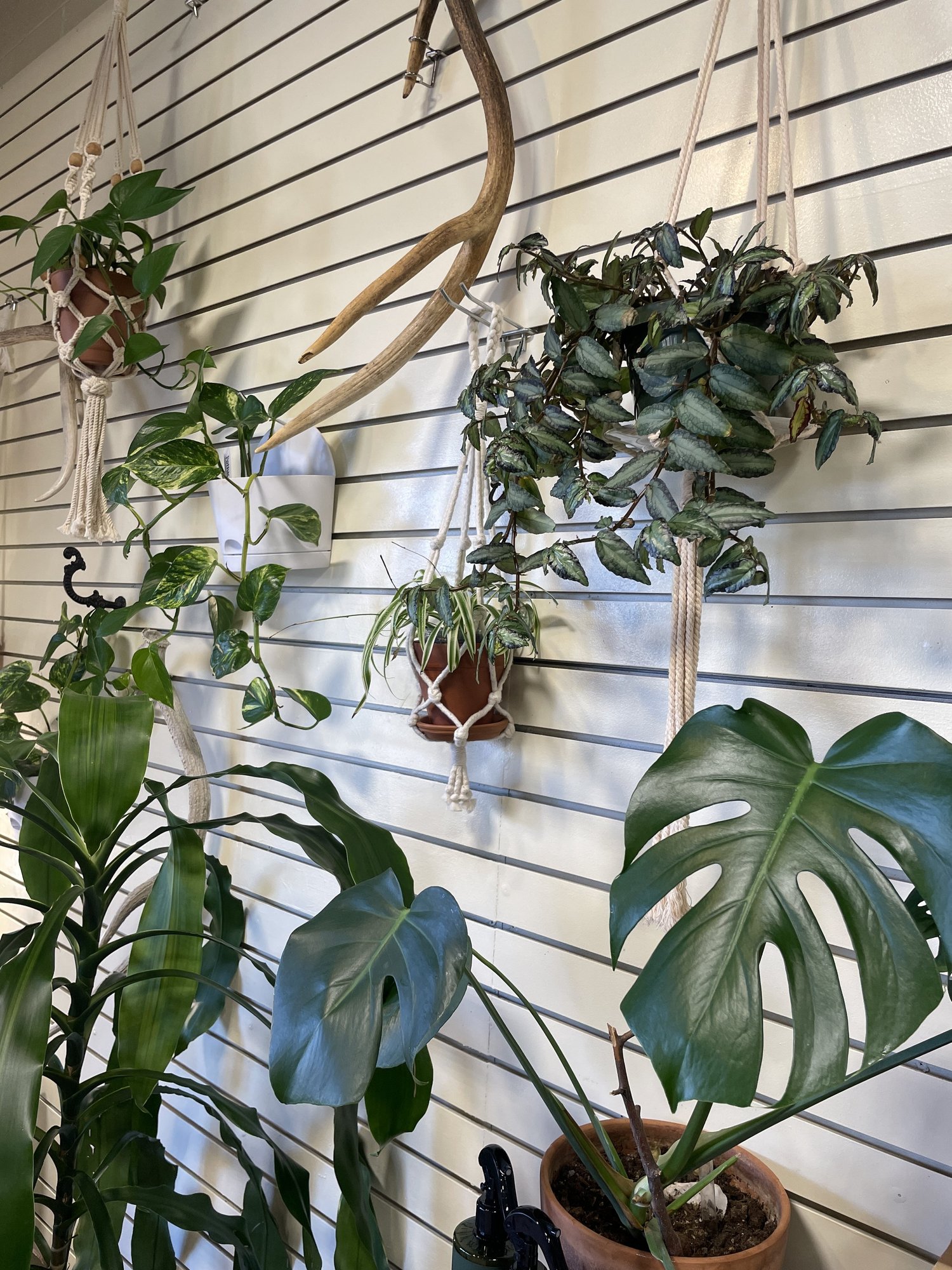 Book Your Next Appointment — OAK BRUSH