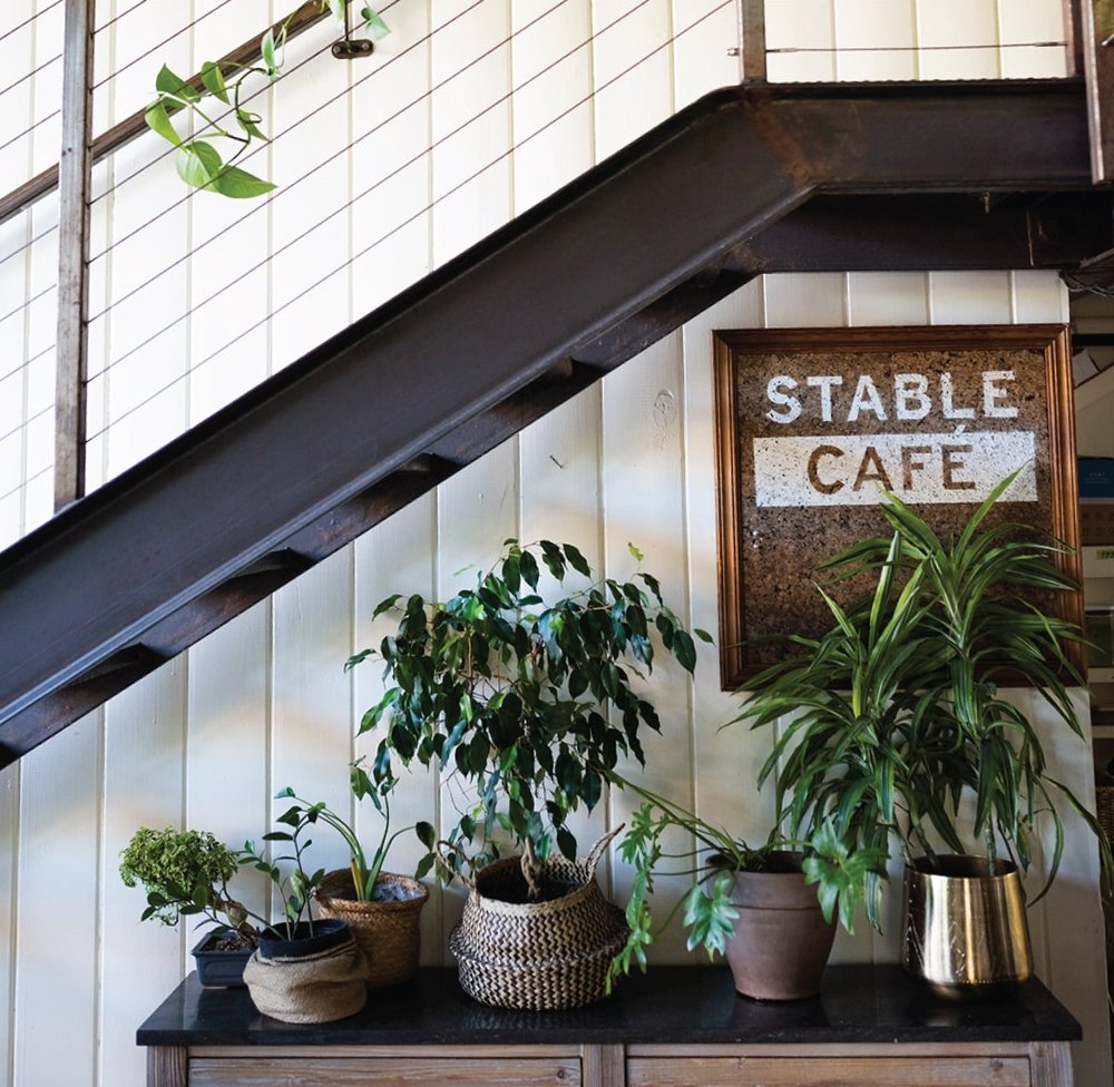 Cafe — Stable