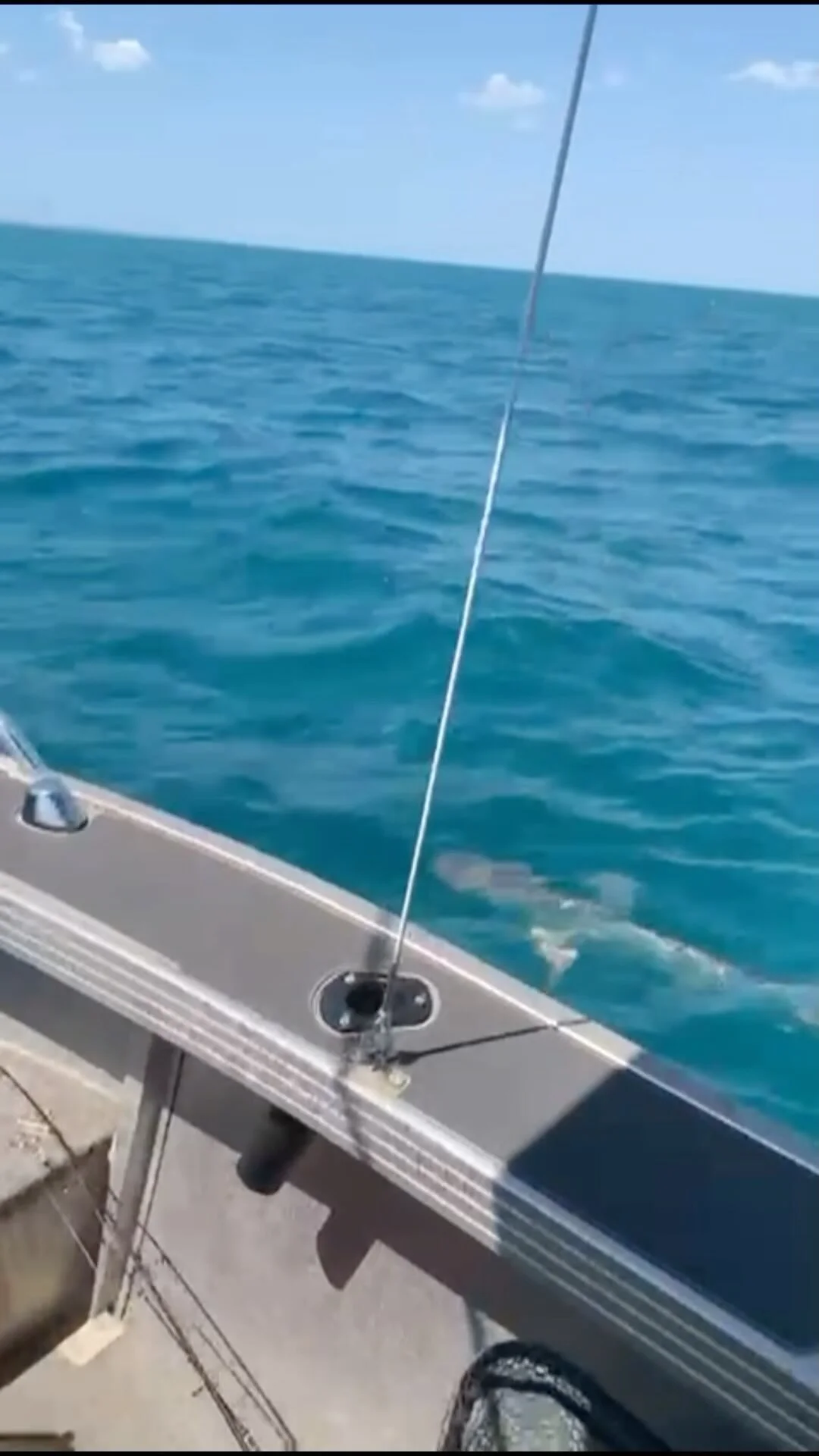 Rpelx Electrical Shark Deterrents For Fishing