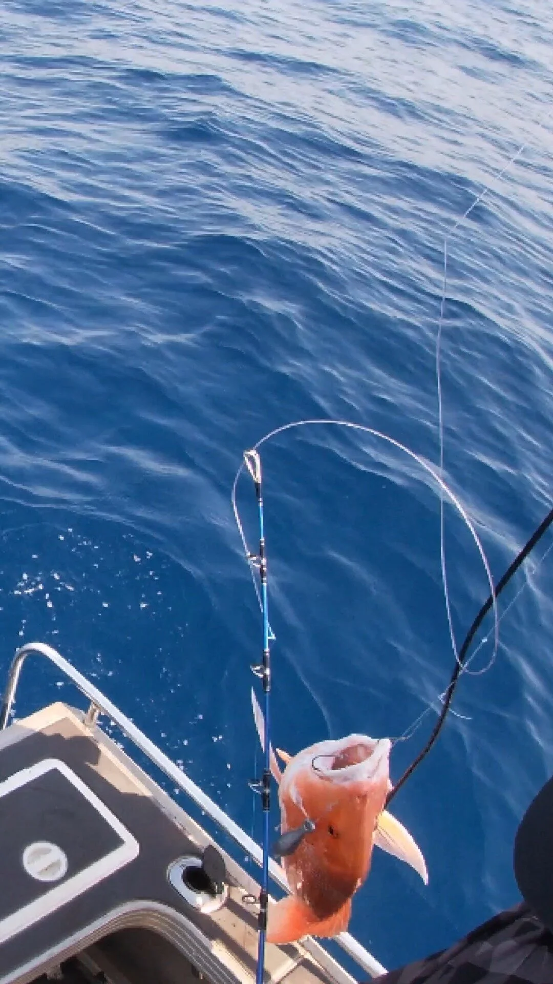 Rpelx Electrical Shark Deterrents For Fishing