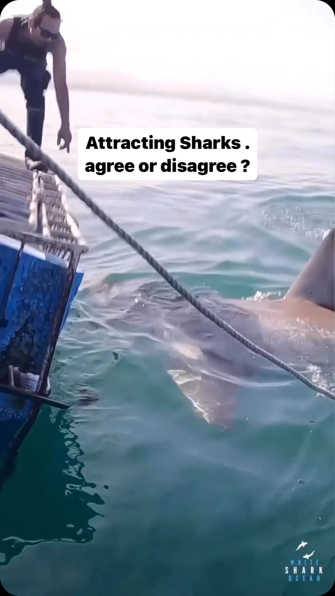 Rpelx Electrical Shark Deterrents For Fishing