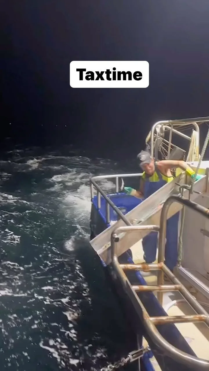 Rpelx Electrical Shark Deterrents For Fishing