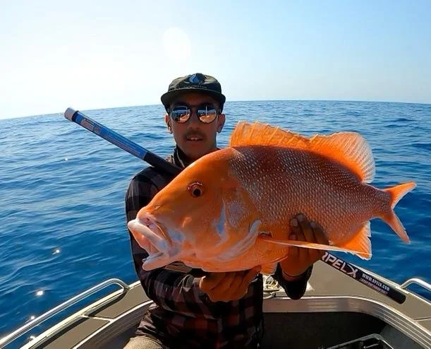 Rpelx Shark Deterrent Fishing Device — Rpelx Electrical Shark ...