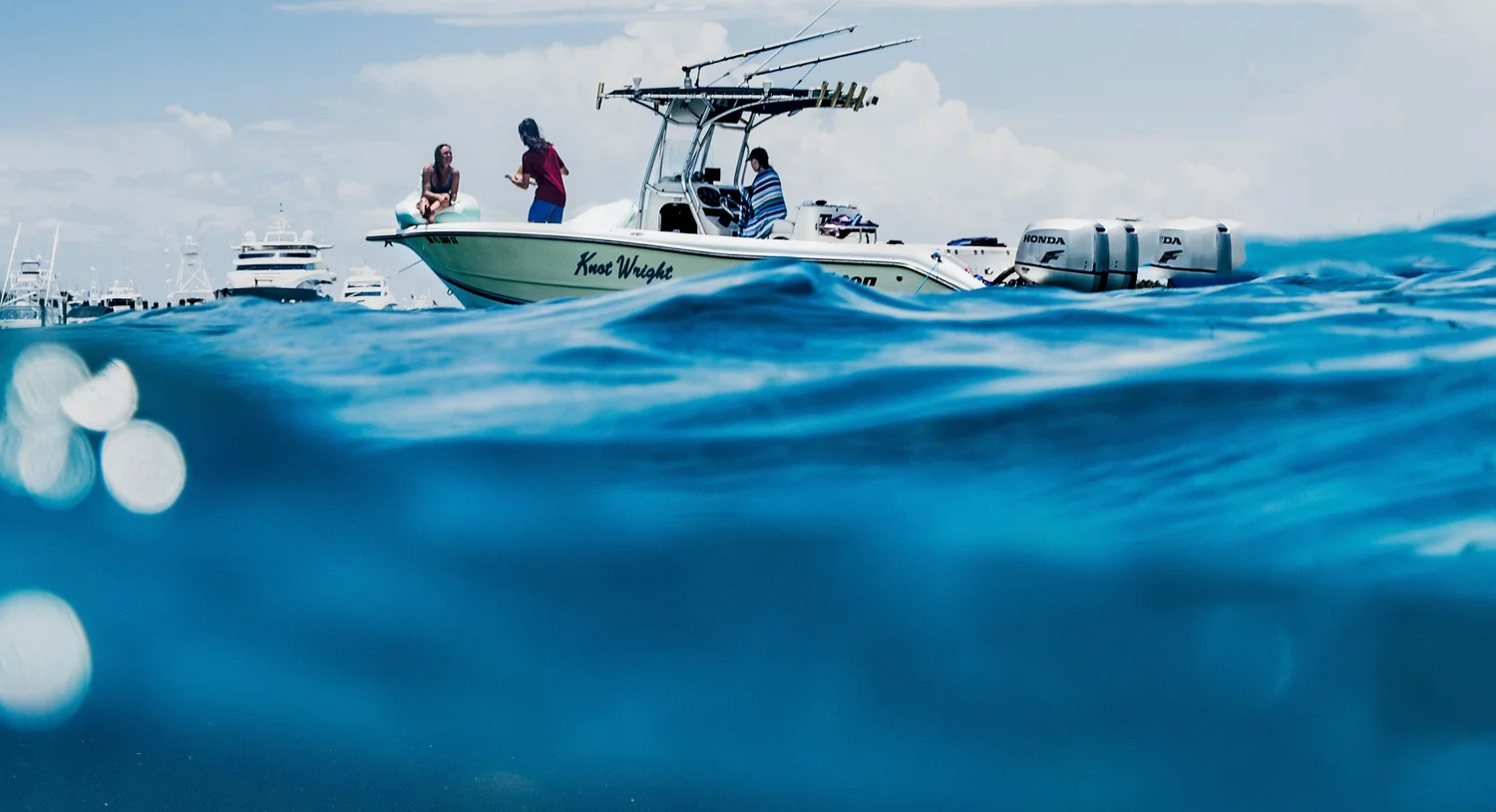 Rpelx Electrical Shark Deterrents For Fishing