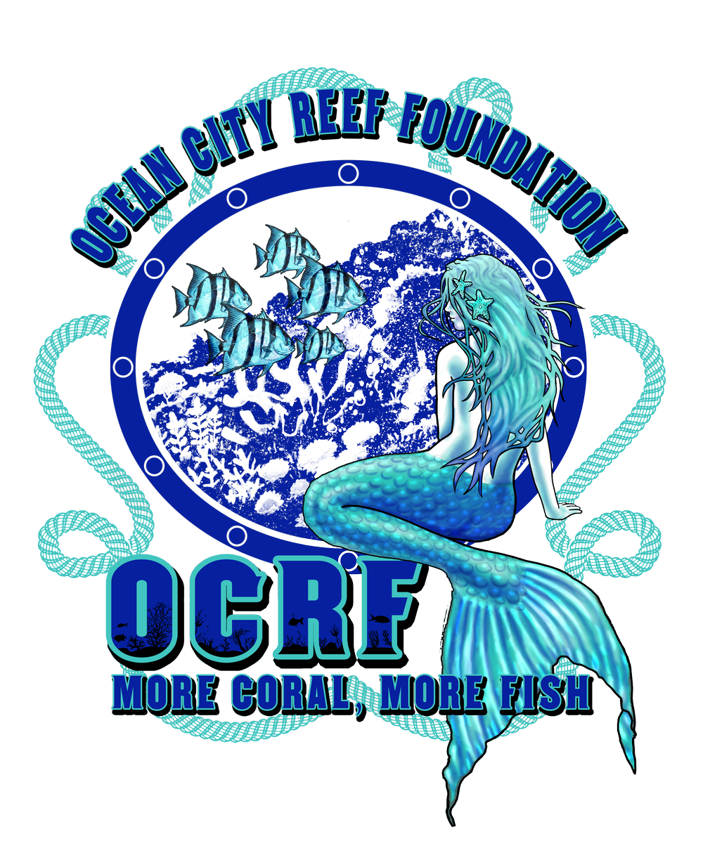 Donate to the Ocean City Reef Foundation — Ocean City Reef Foundation