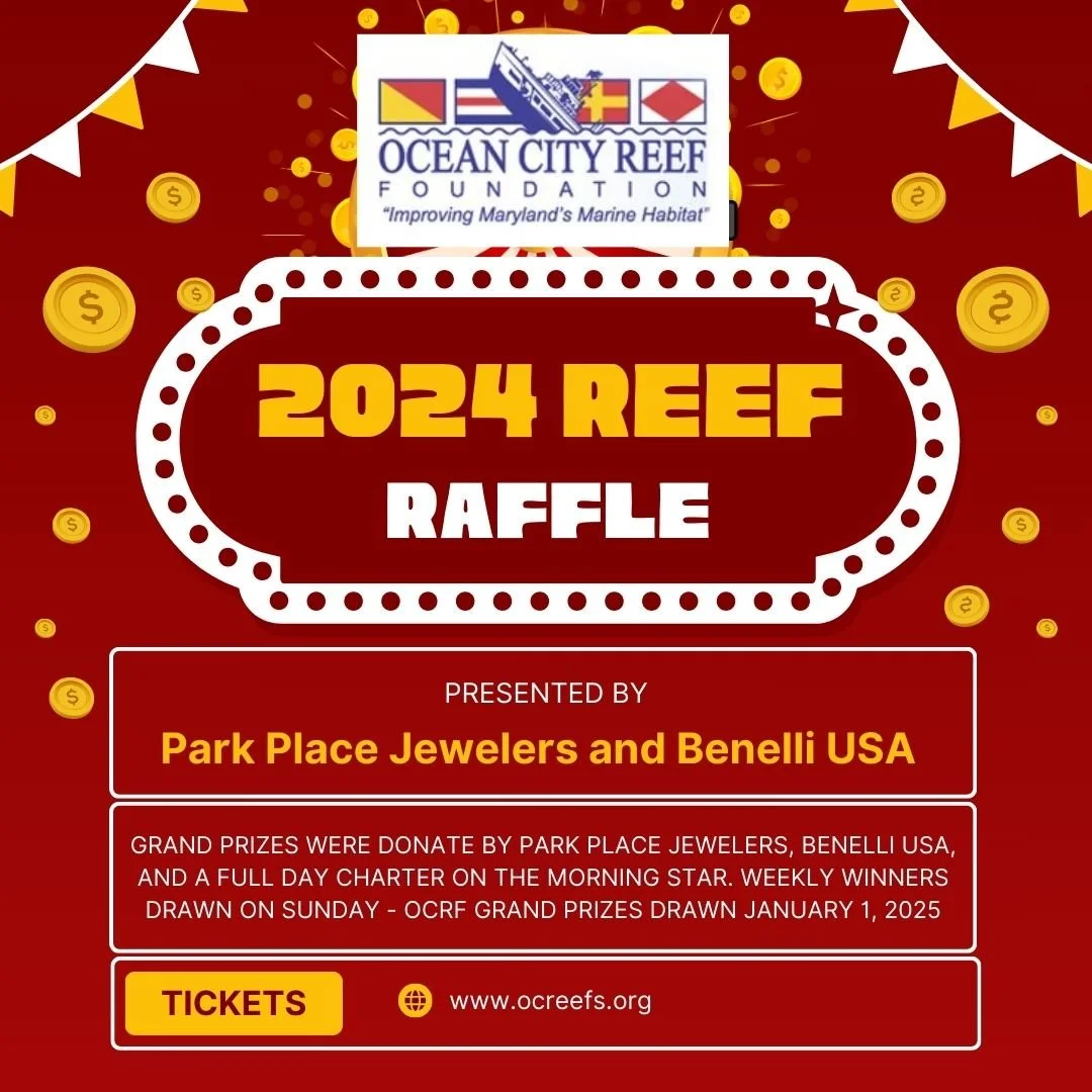 Ocean City Reef Foundation
