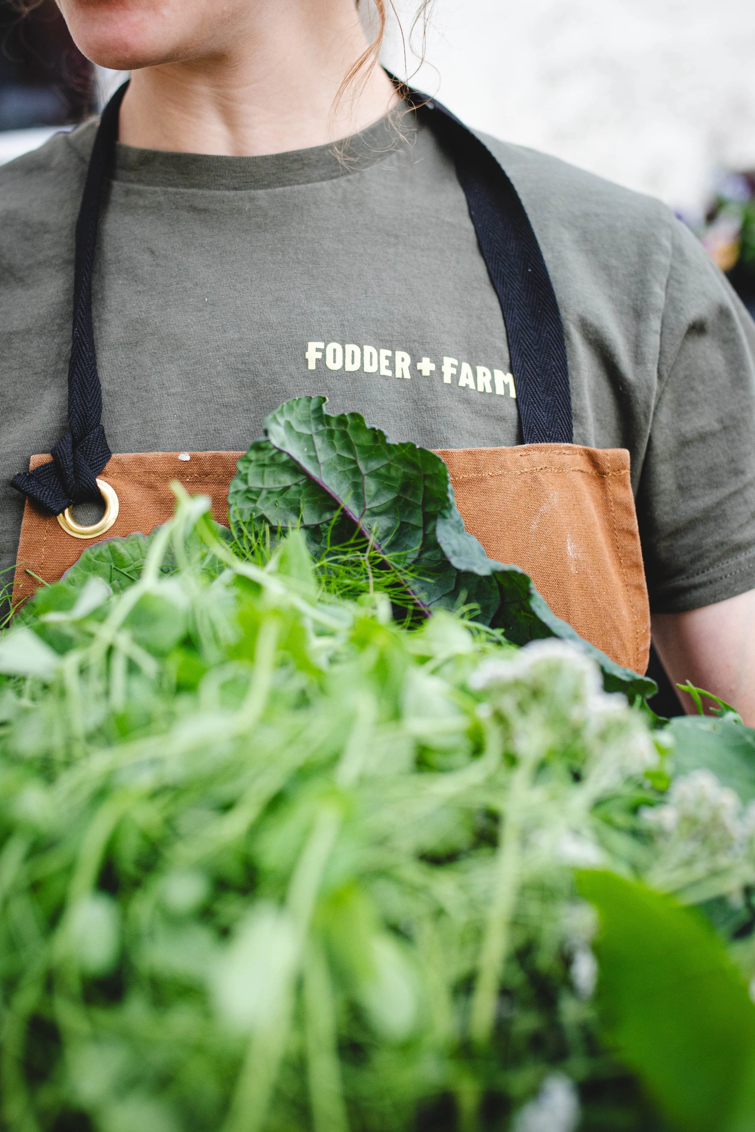 Fodder + Farm, Port of Menteith, Scotland
