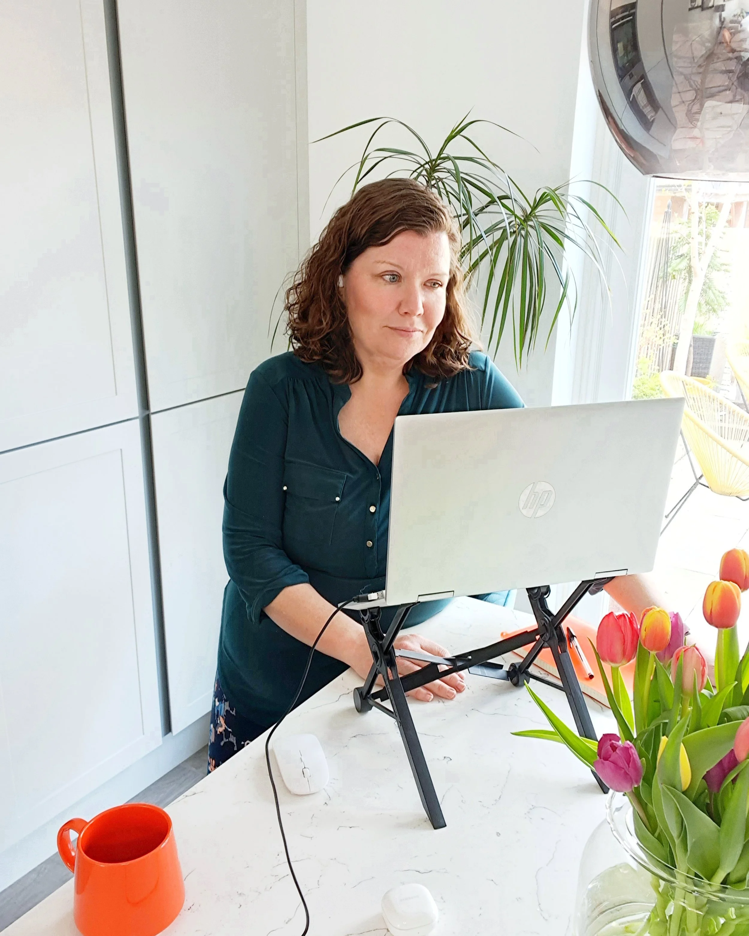 About — Orange Sprout