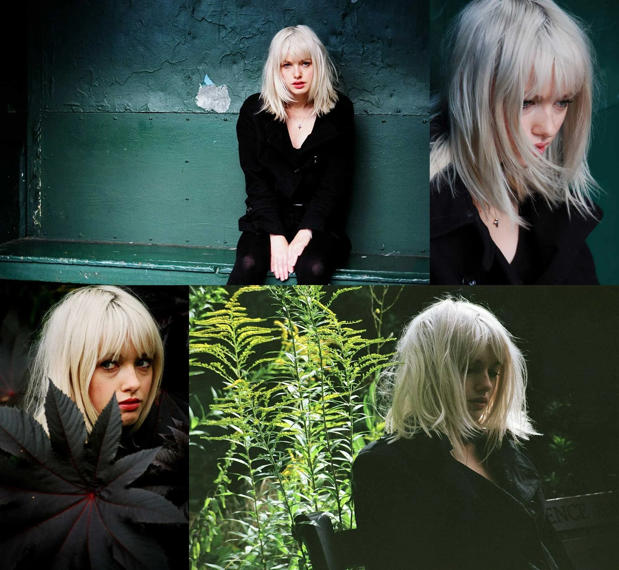 Images — Caroline Collett