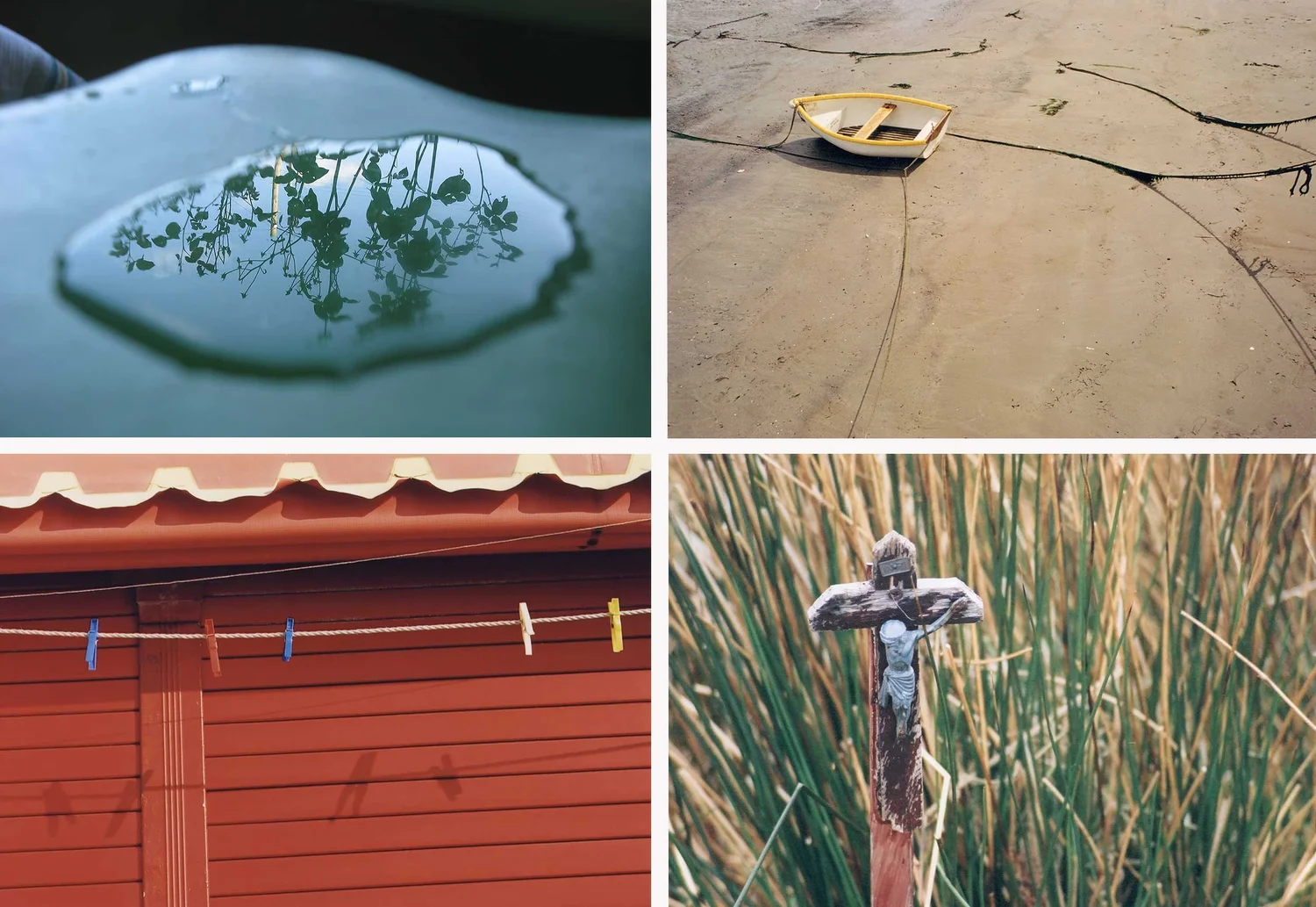 Images — Caroline Collett