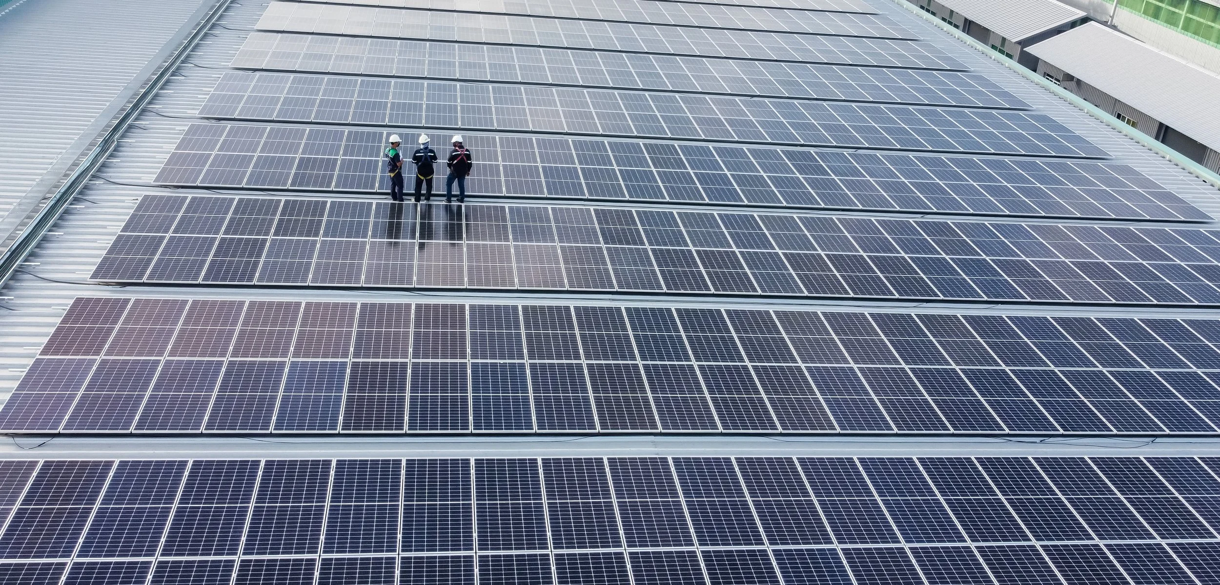 Sunbird | Discover Sustainable Solutions