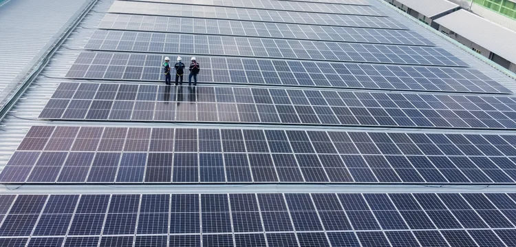 Sunbird | Discover Sustainable Solutions