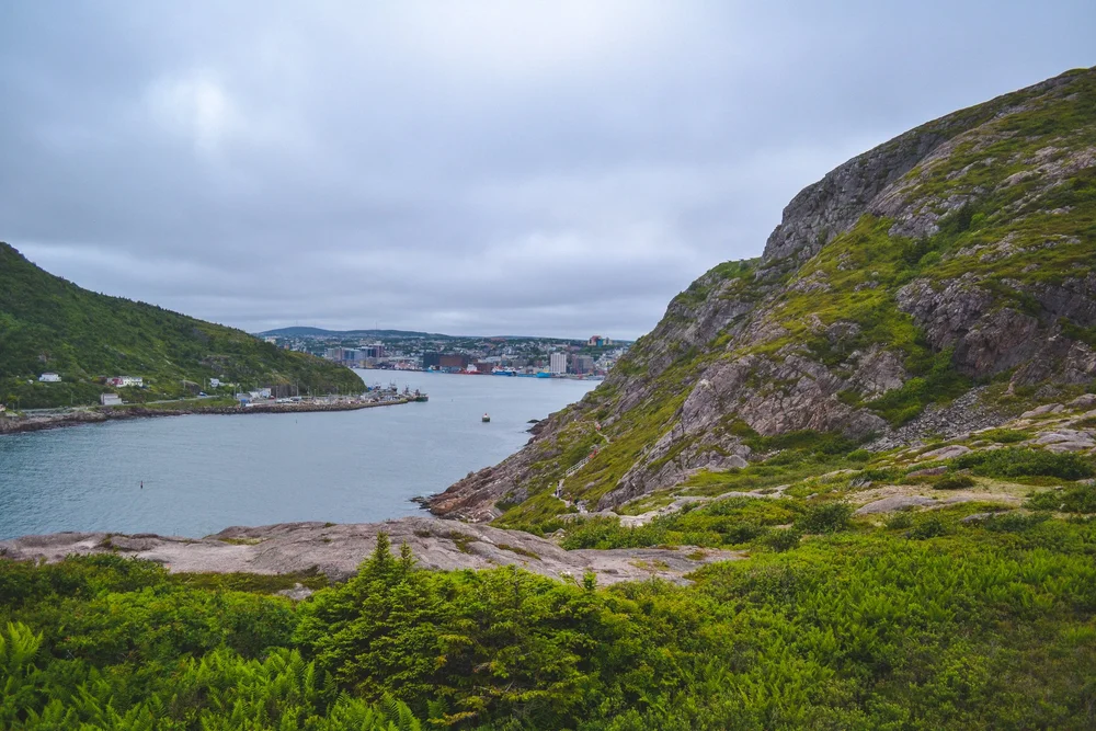 Hiking the North Head Trail in Newfoundland — Trent Ogilvie