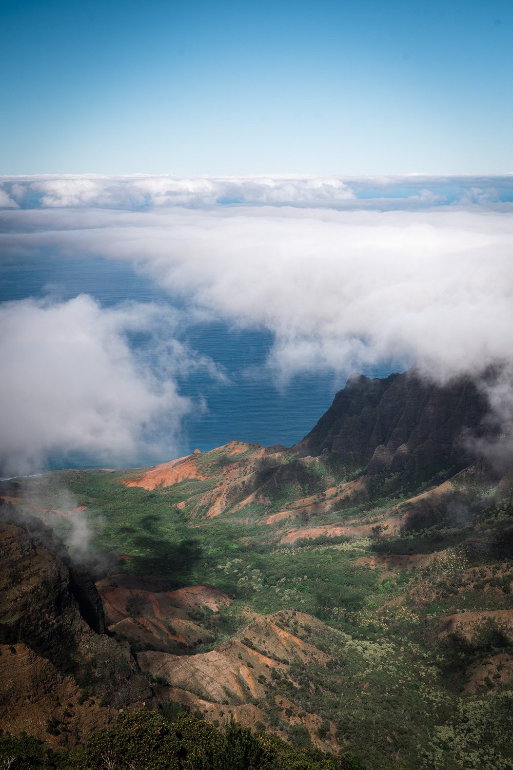 What is a Circular Polarizer Filter and Why Do You Need One? — Trent ...