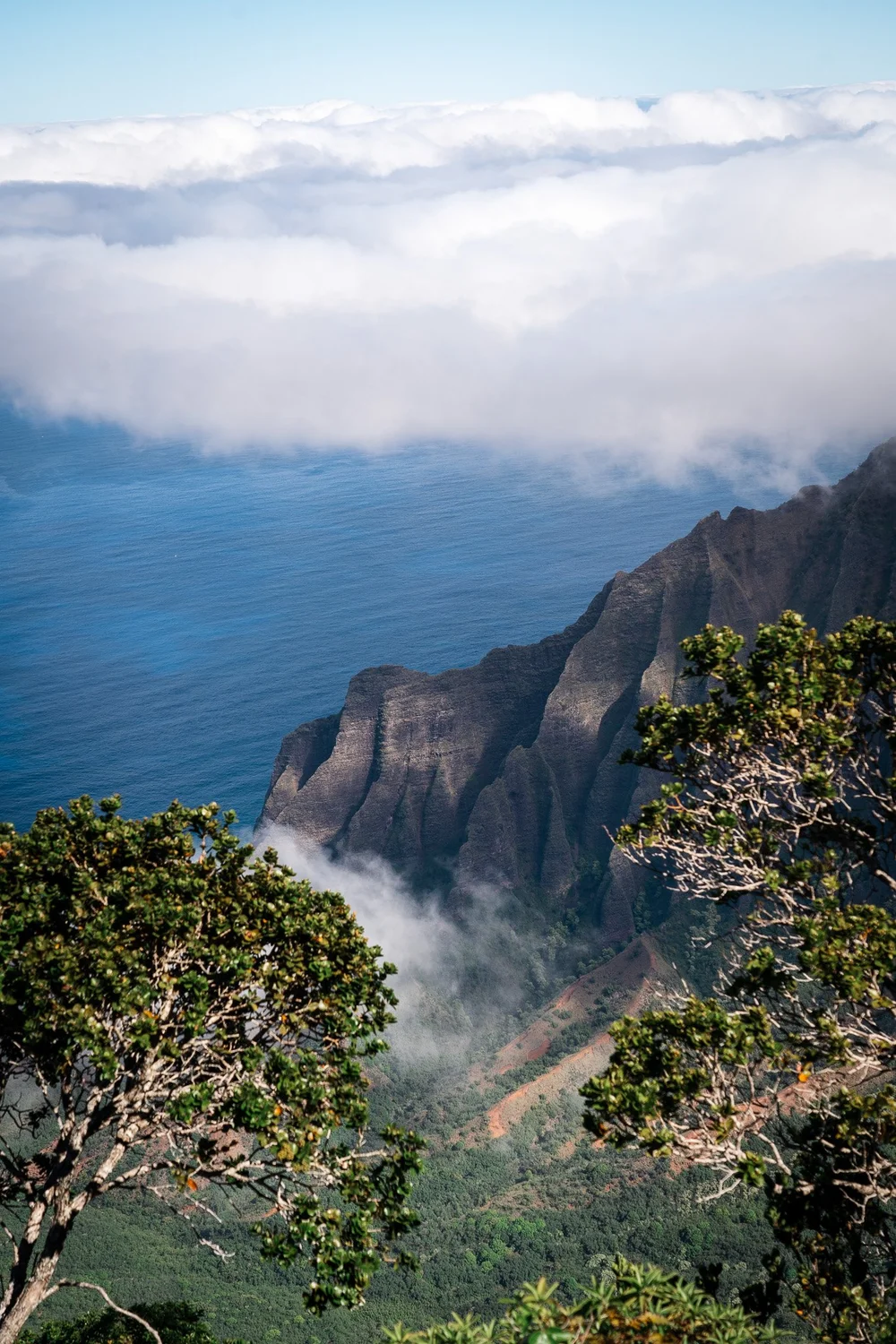 How to Use a Circular Polarizer Filter — Trent Ogilvie