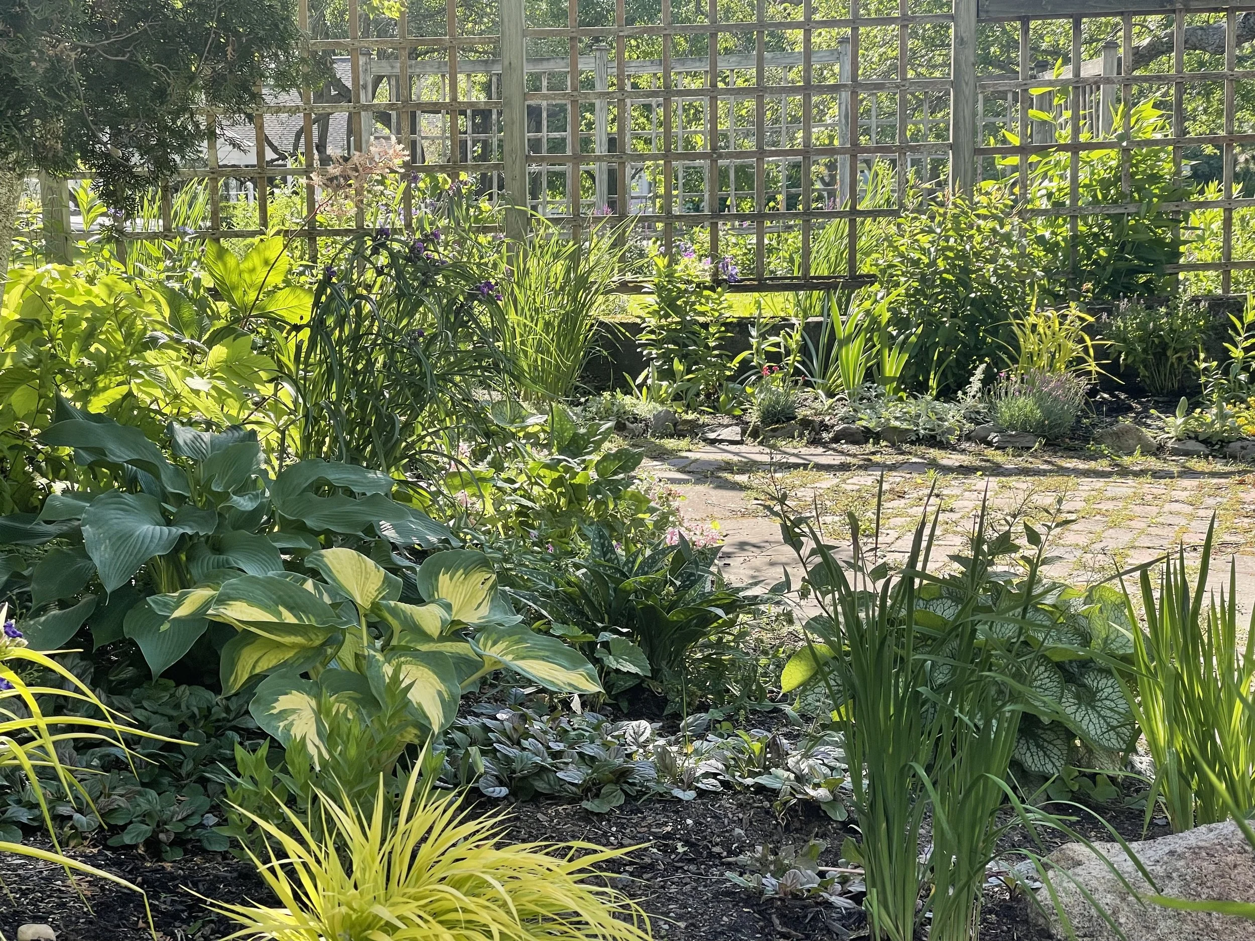 Services — Vermont Garden Design