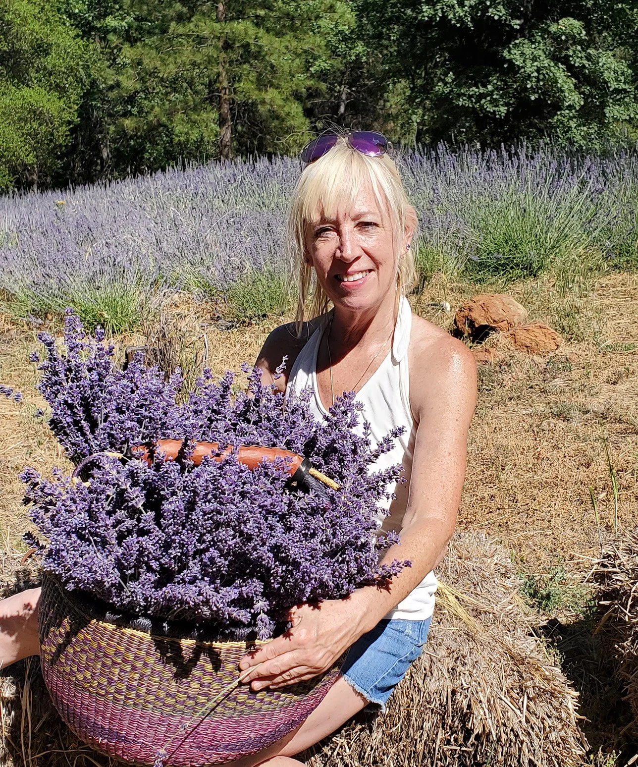About — Hippie Chic Pilates Studio | Grass Valley CA