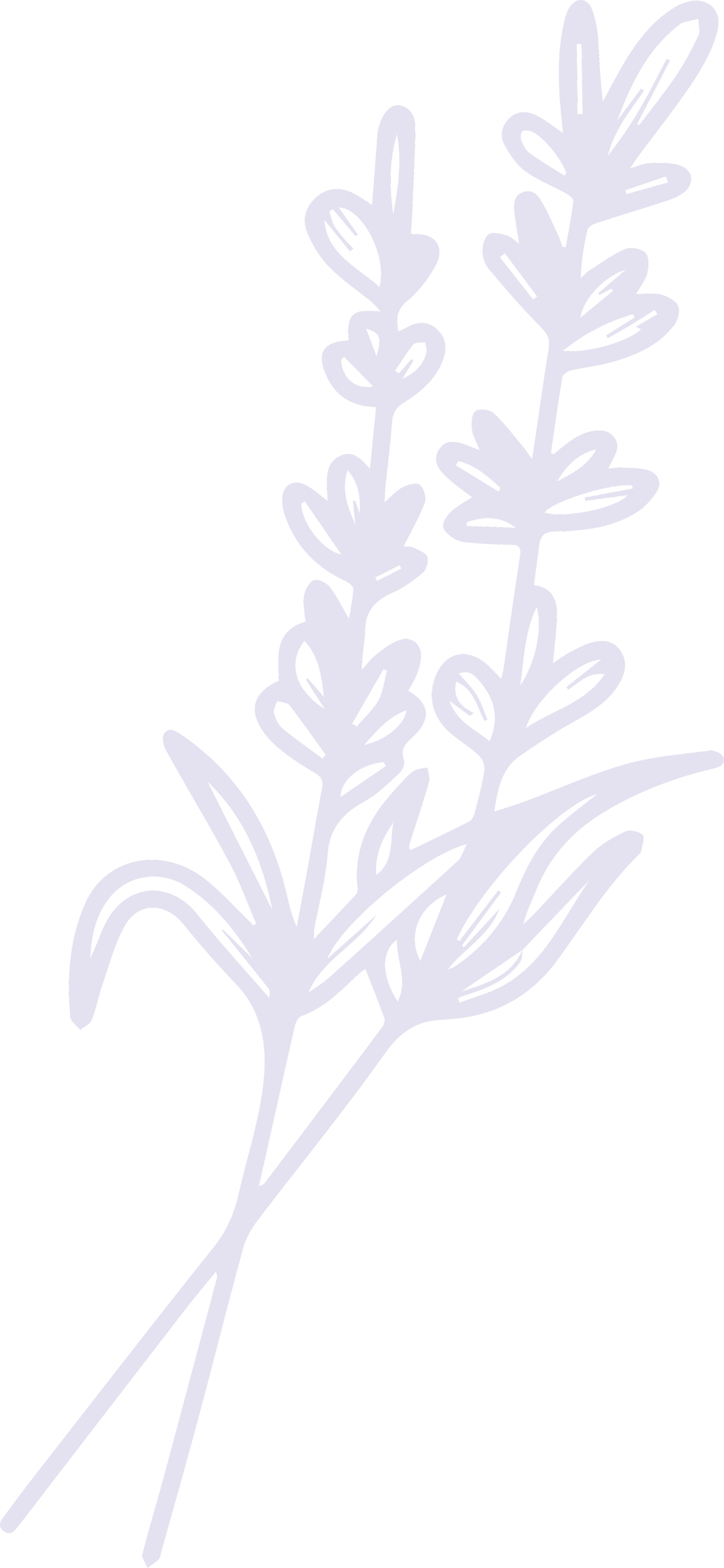 Hippie Chic Pilates Studio | Grass Valley CA