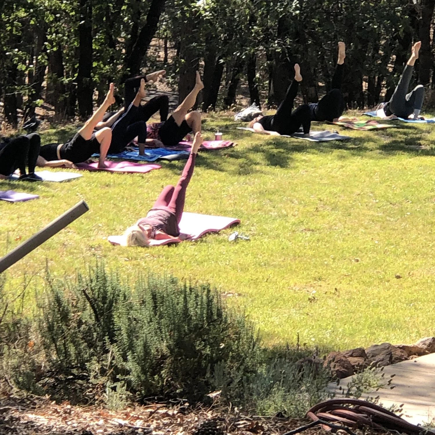 Hippie Chic Pilates Studio | Grass Valley CA