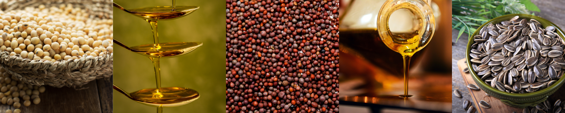 Transparency & Traceability: The Real Story on Seed Oils — Culinary Culture