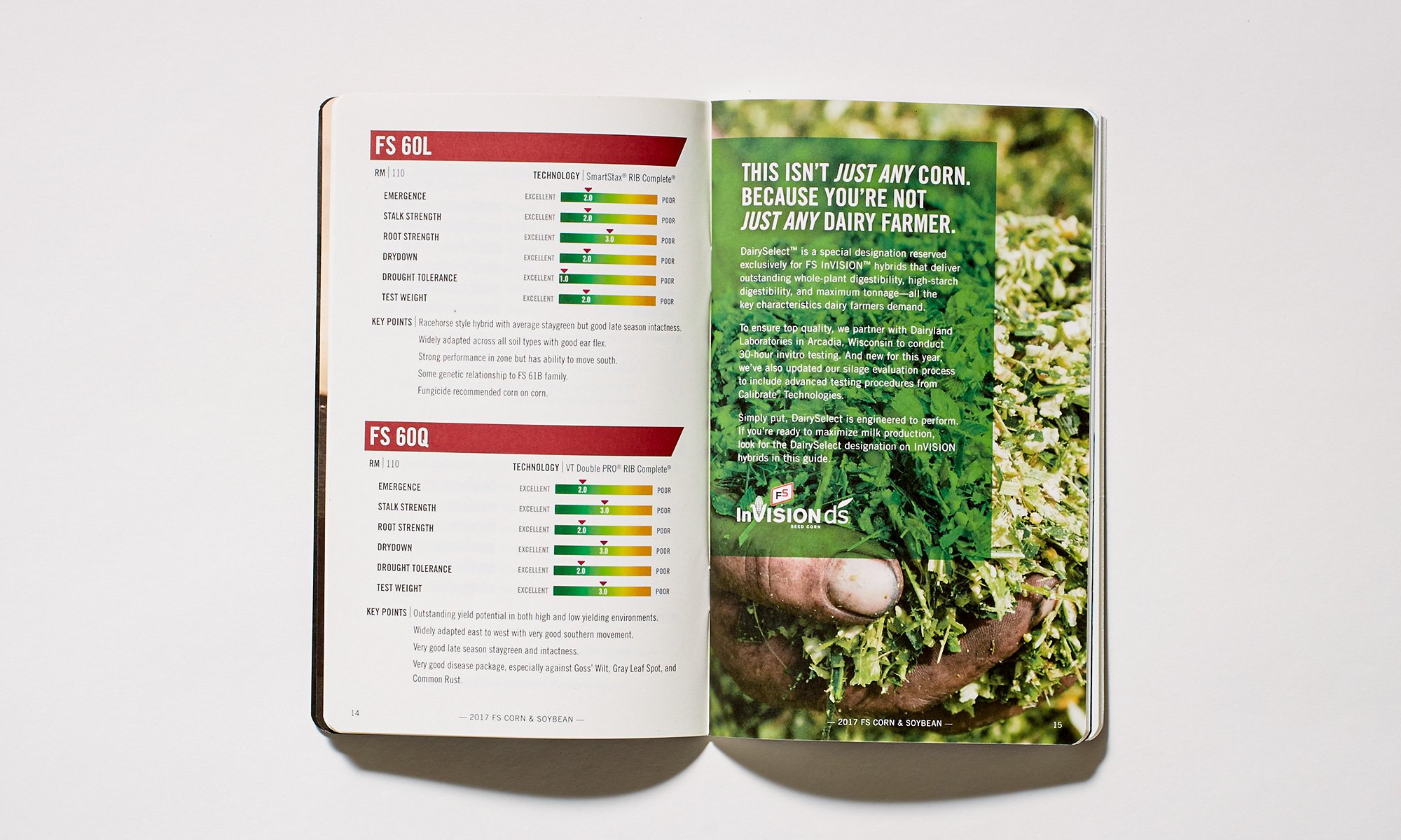 FS Seed — The Flatland