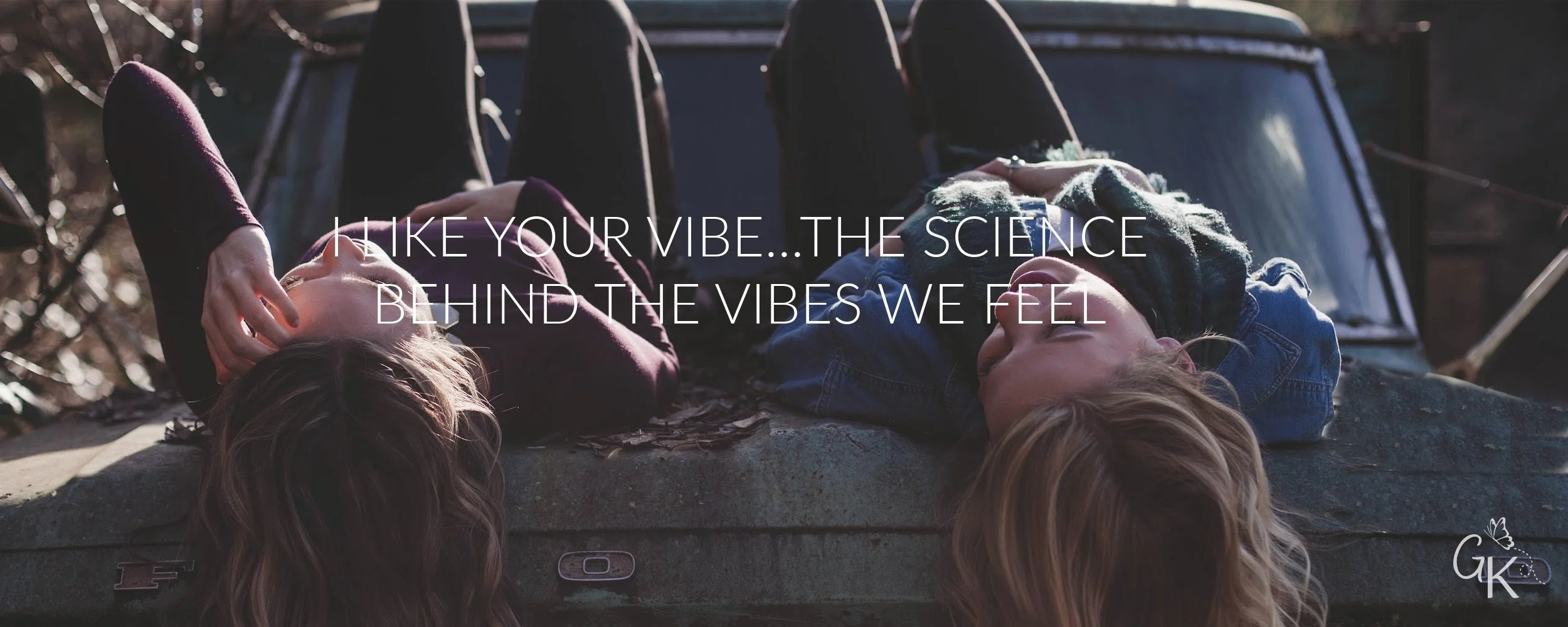 I Like Your Vibe…The Science Behind the Vibes we Feel — Ginette Kort