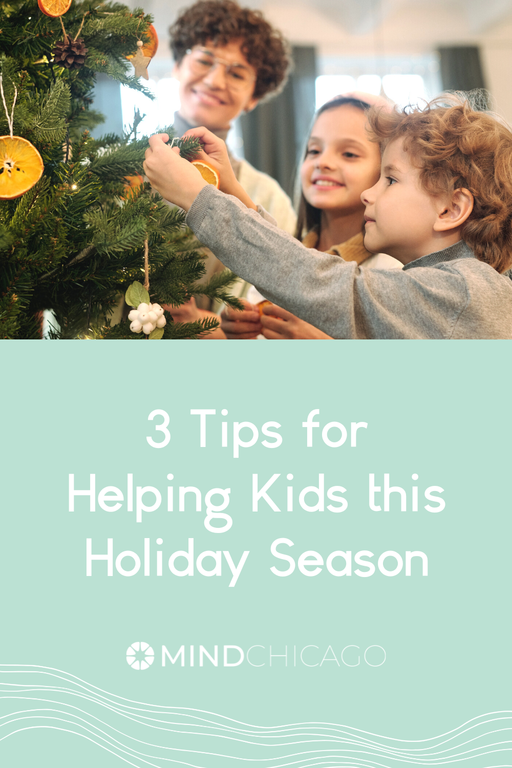 Blog 2 — Mind Chicago