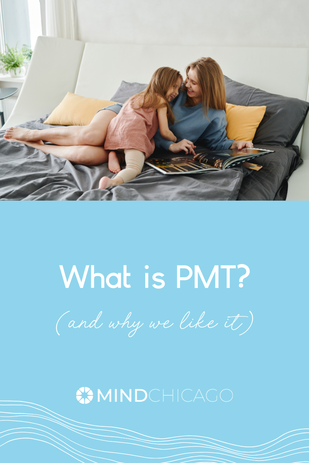 Blog 2 — Mind Chicago