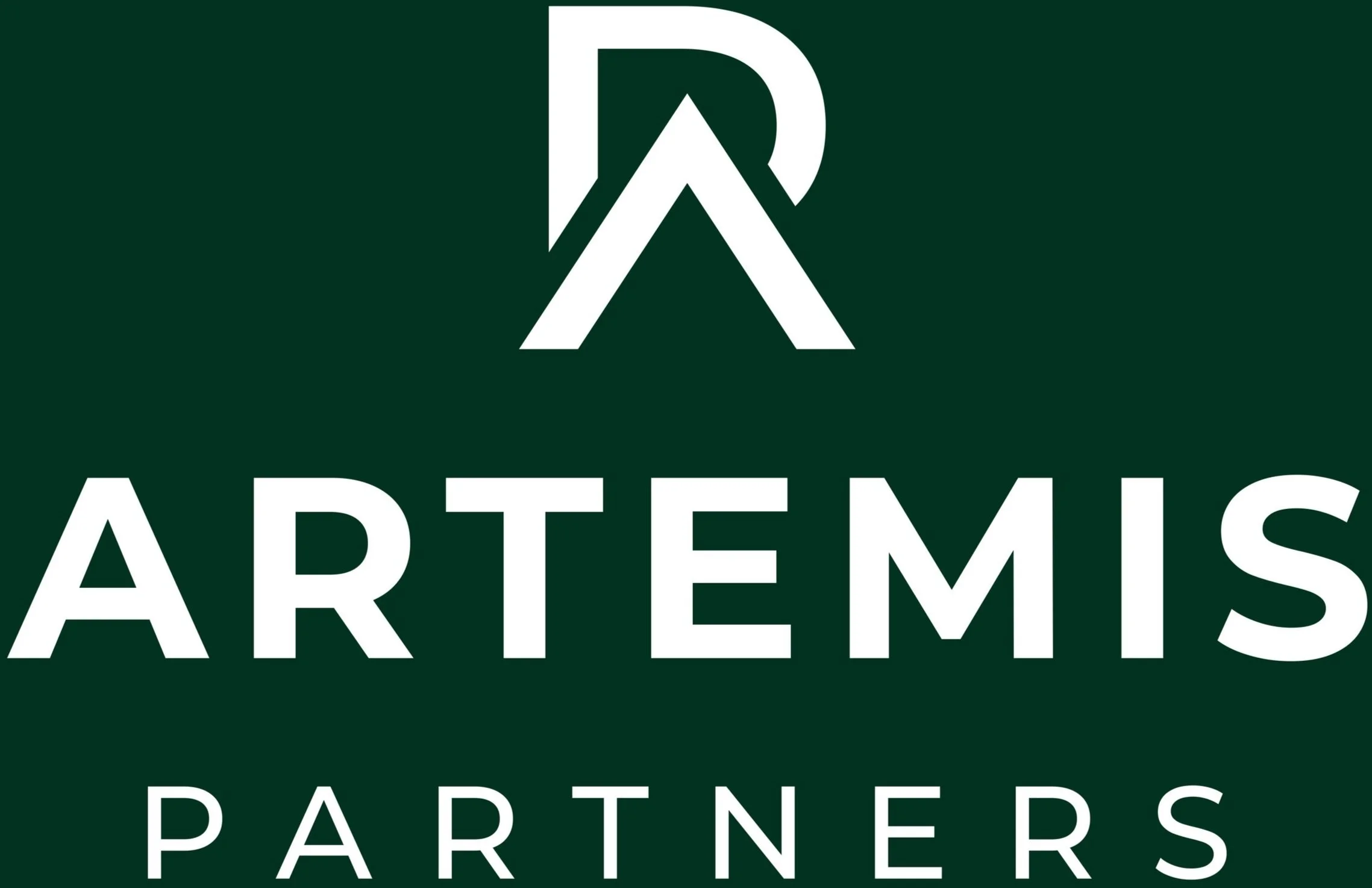 Our Team — Artemis Partners