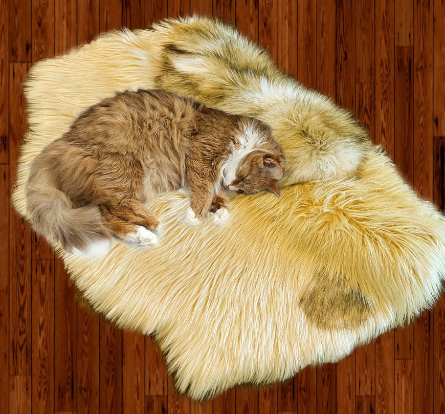 CatNappers FauX Fur Cat Bed - make sure your cat stays warm this winter ...