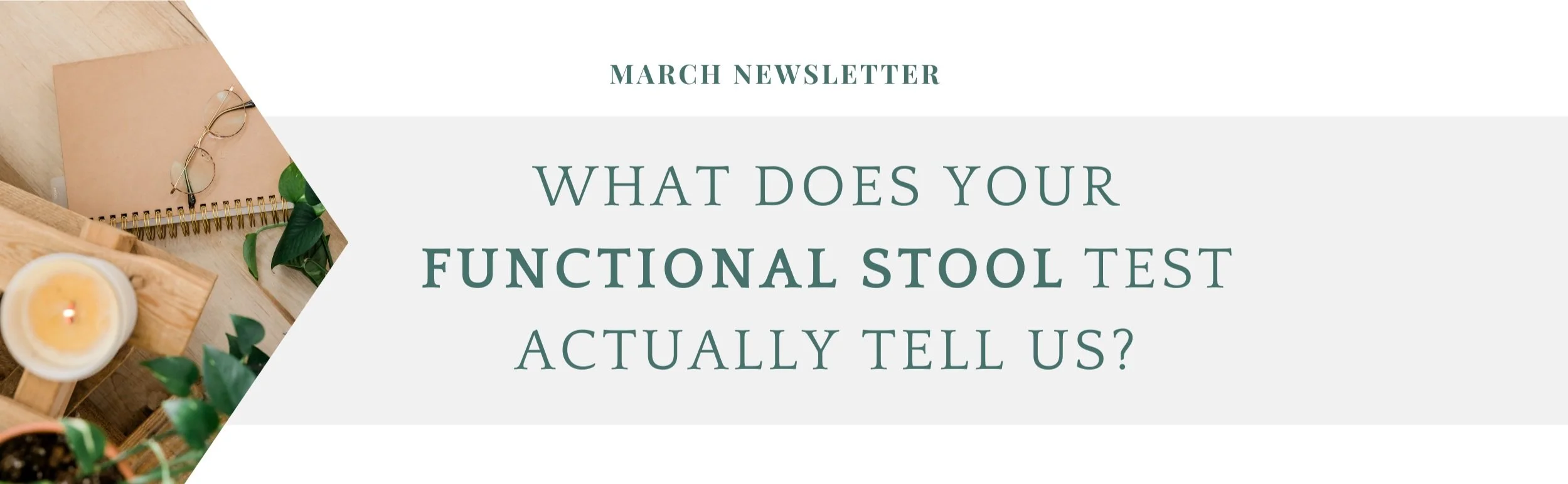 What does your functional stool test actually tell us? — Above Health ...