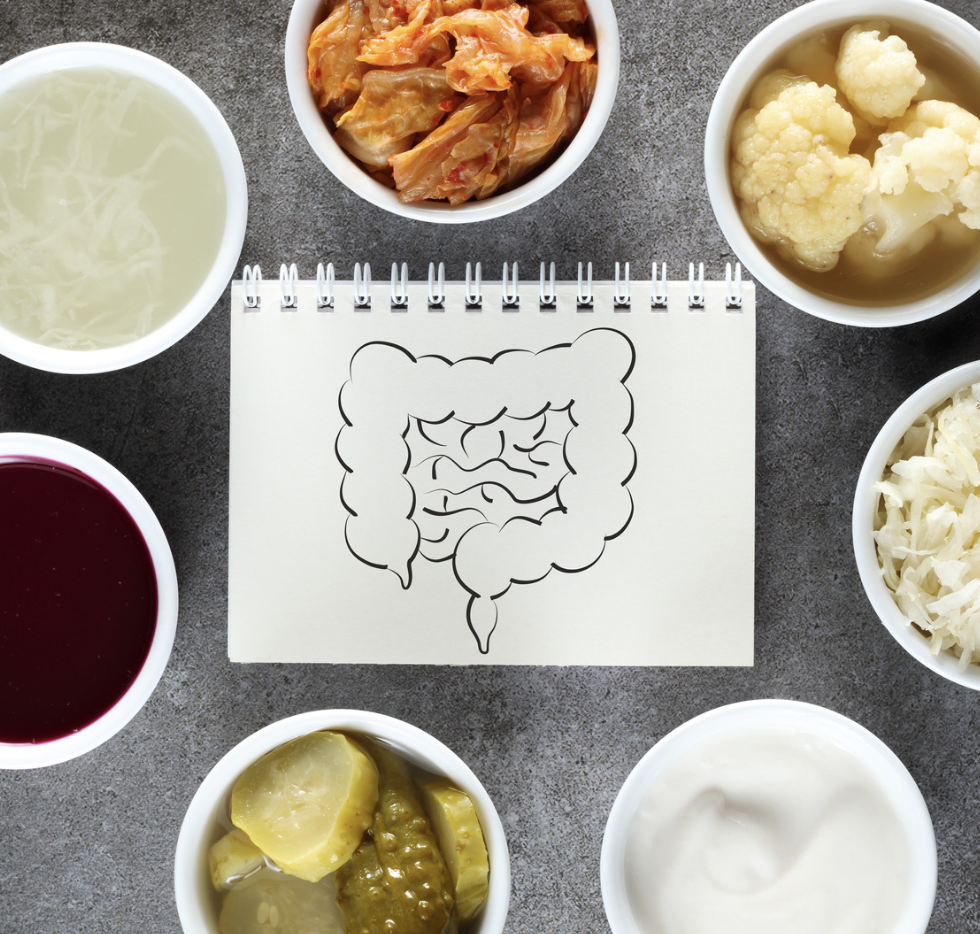 Understand the Gut Brain Connection — Above Health Nutrition