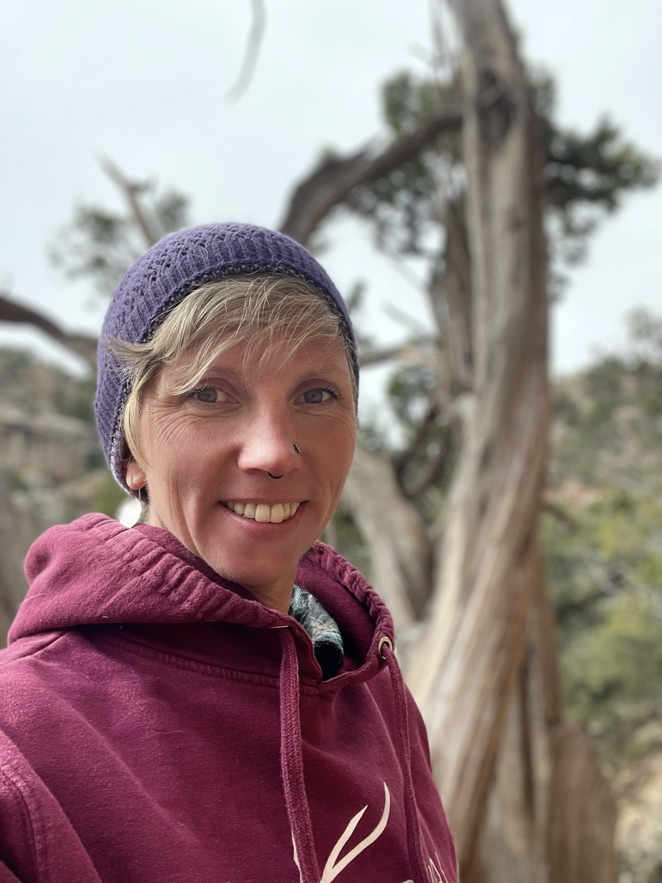 About Us — Climbing Collective